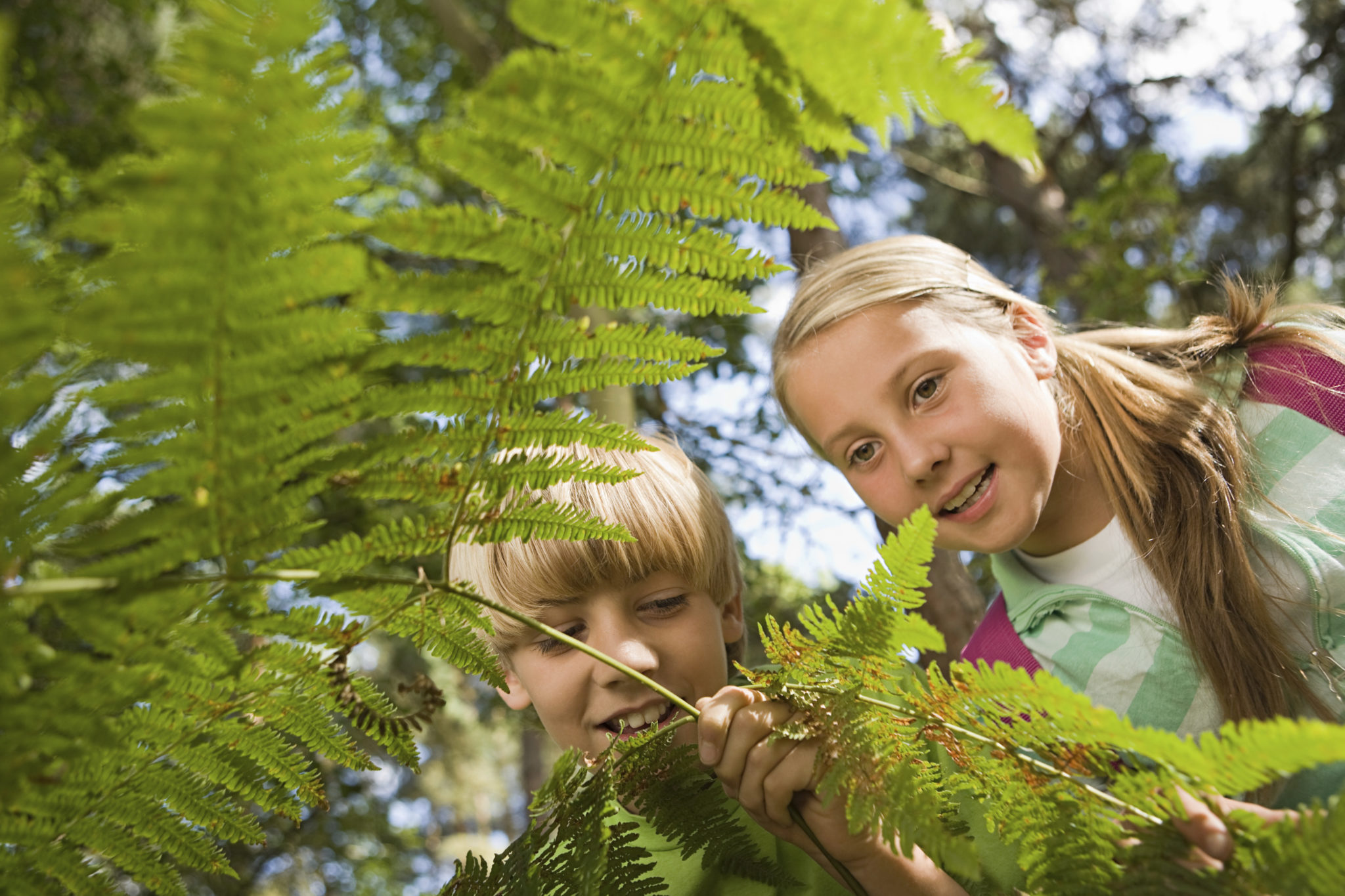Forest School Sussex. Nurturing through nature. Outdoor Education